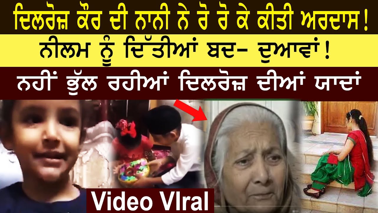 Cute Dilrose Kaur Dadi Crying VIdeo Viral | ਨਹੀਂ ਭੁੱਲ ਰਹੀਆਂ dilroz ਦੀਆਂ ...