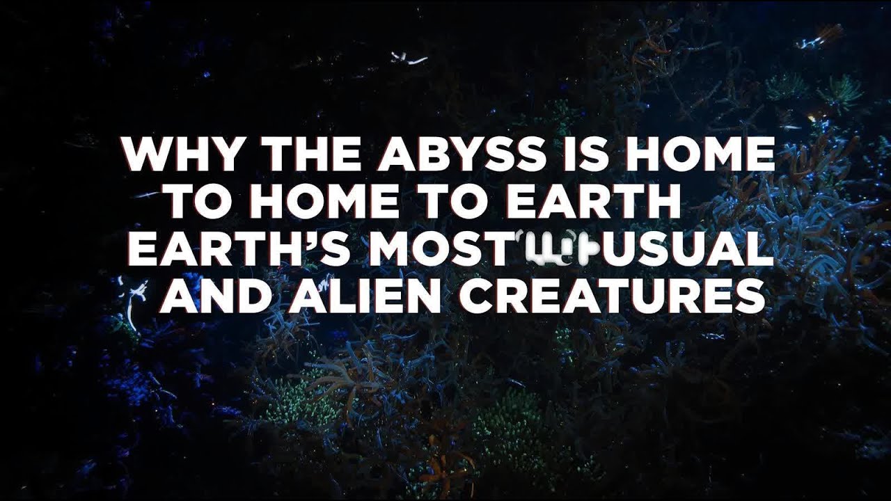Why the Abyss Is Home to Earth’s Most Unusual and Alien Creatures ...