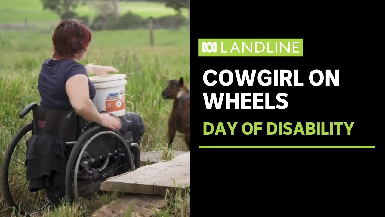 Farming miniature goats from a wheelchair | Landline | ABC News - YouTube