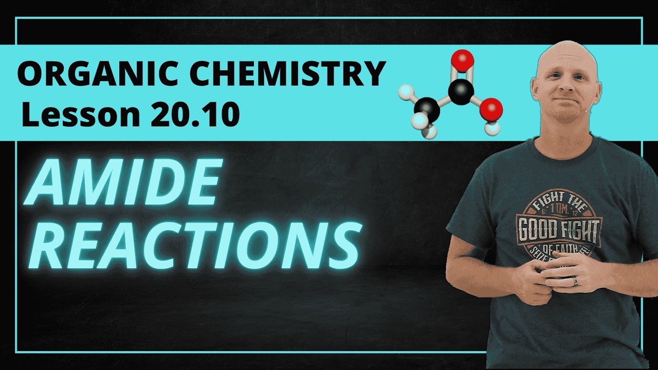 Amide Synthesis & Reactions | 20.10 Organic Chemistry - YouTube
