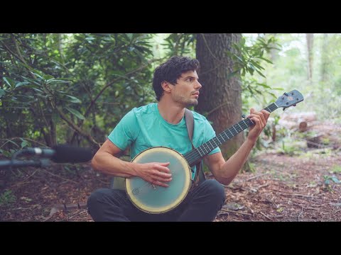 The Moon Glade ~ dreaming banjo in a quiet wood | Wander & Rest