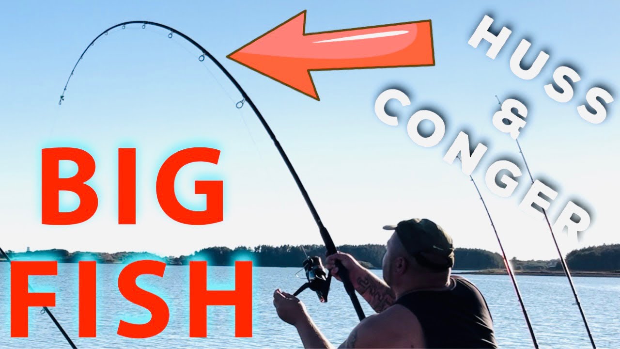 SEA FISHING at The Inland Sea in Holyhead - YouTube