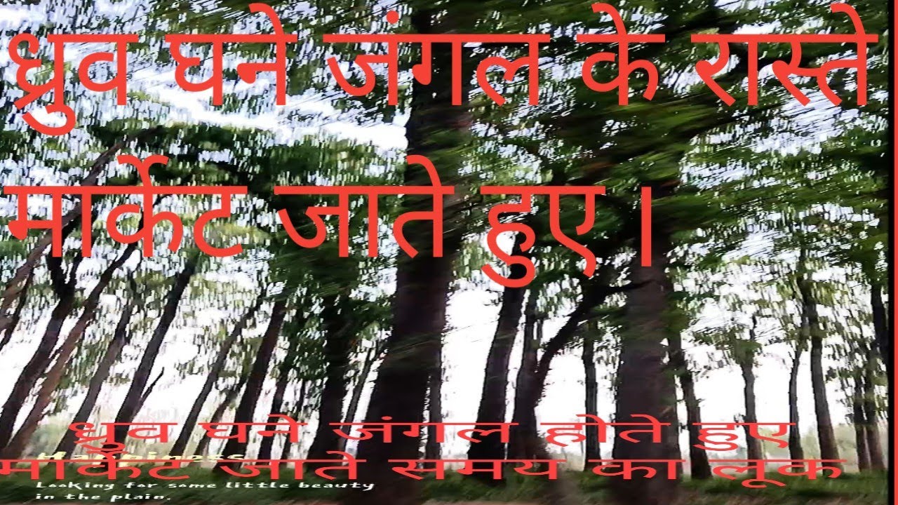 Ghane Jungle Hote Huye Market Jate Samay//घने जंगल होते हुए मार्केट ...