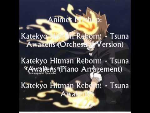 AnimeMashup - Katekyo Hitman Reborn! - Tsuna Awakens (Orchestral ...