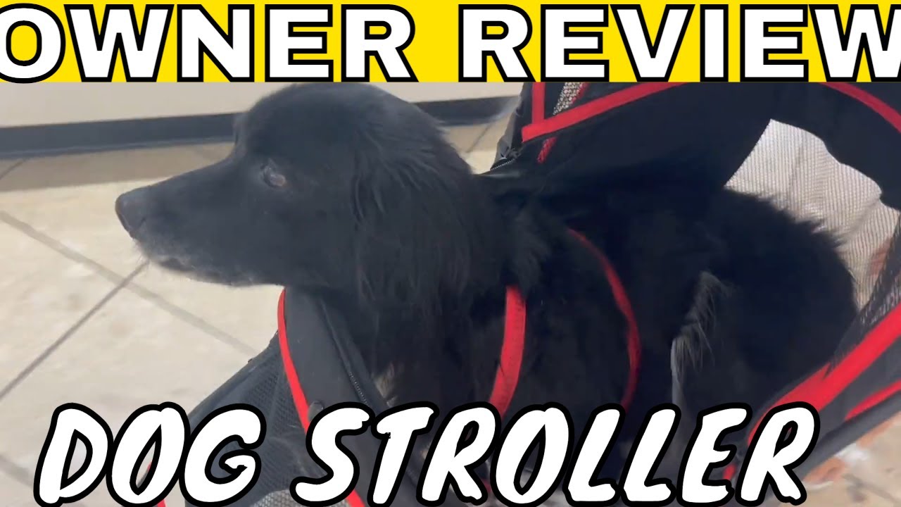Roodo Pet Stroller Review, For Dogs - YouTube