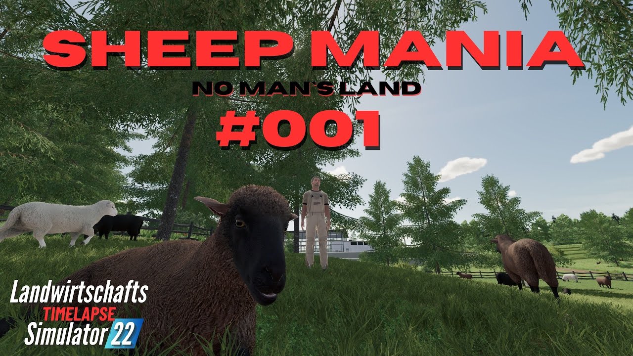 Sheep Mania #001 - Wir starten durch 🐑 - YouTube