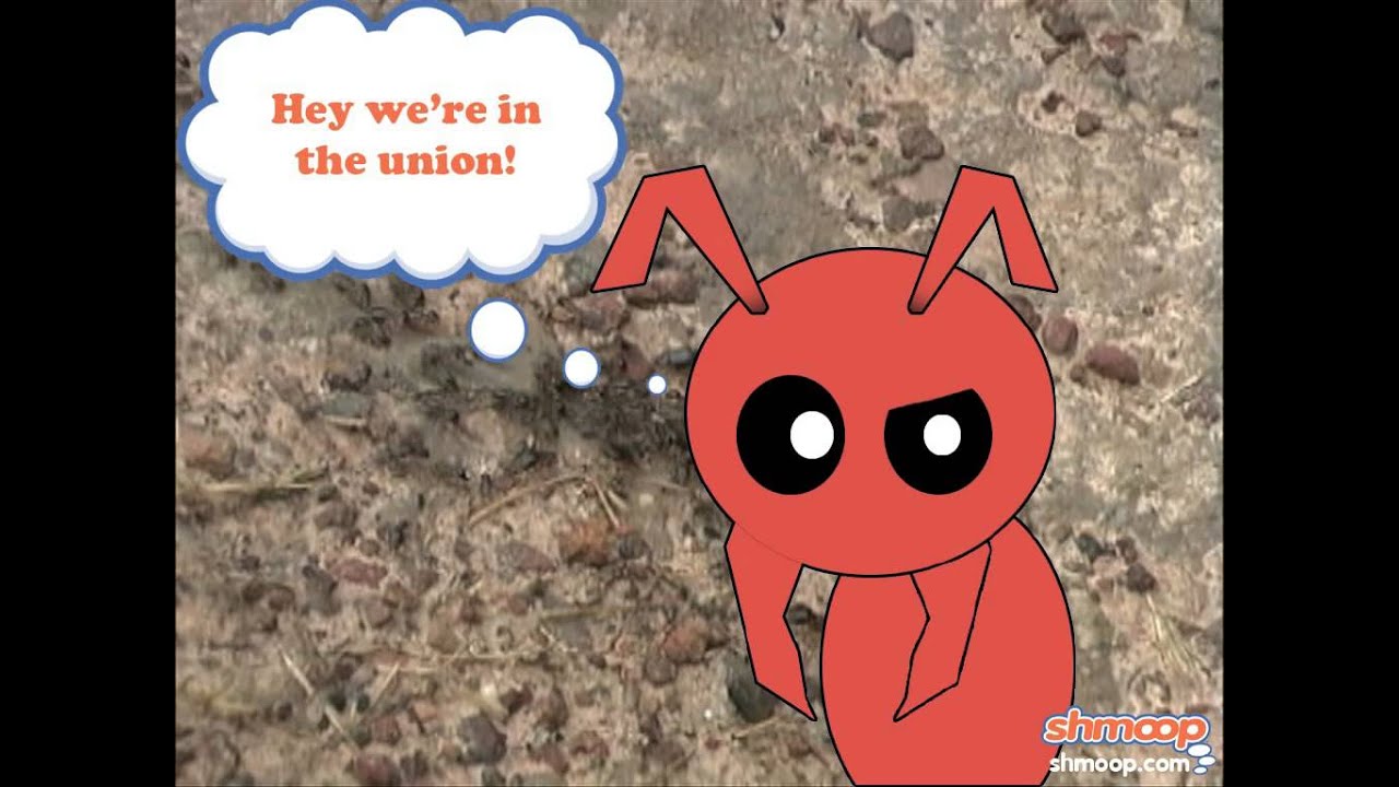 The Metamorphosis by Shmoop - YouTube