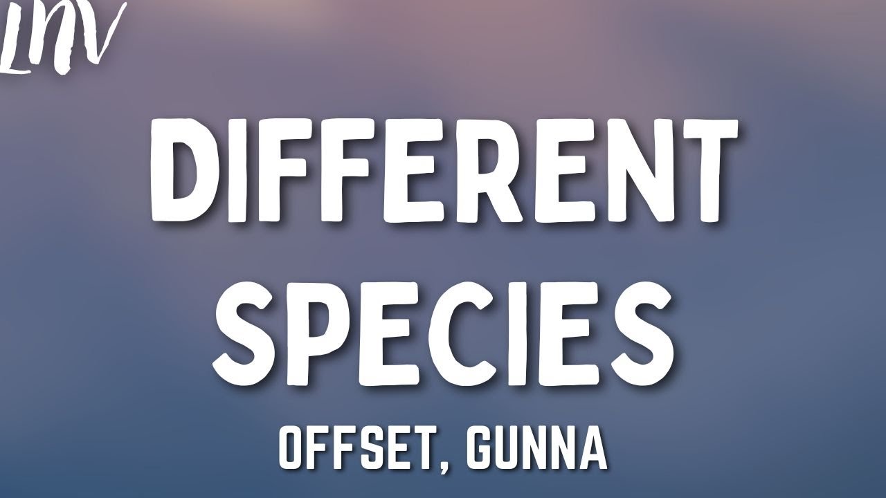 Offset & Gunna - Different Species (Lyrics) - YouTube