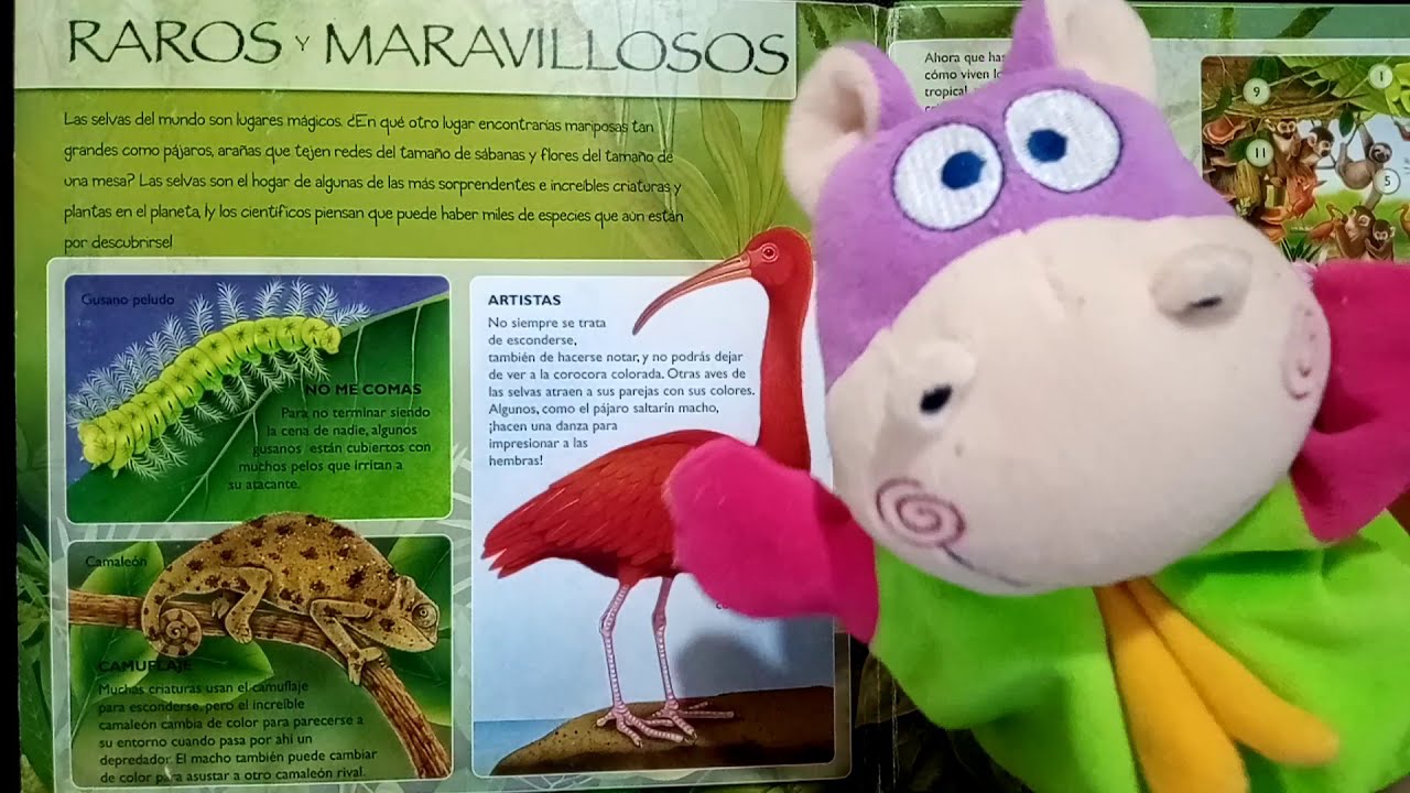 Hora De Lectura - IV PARTE - Libro Selva Tropical - Raros y ...
