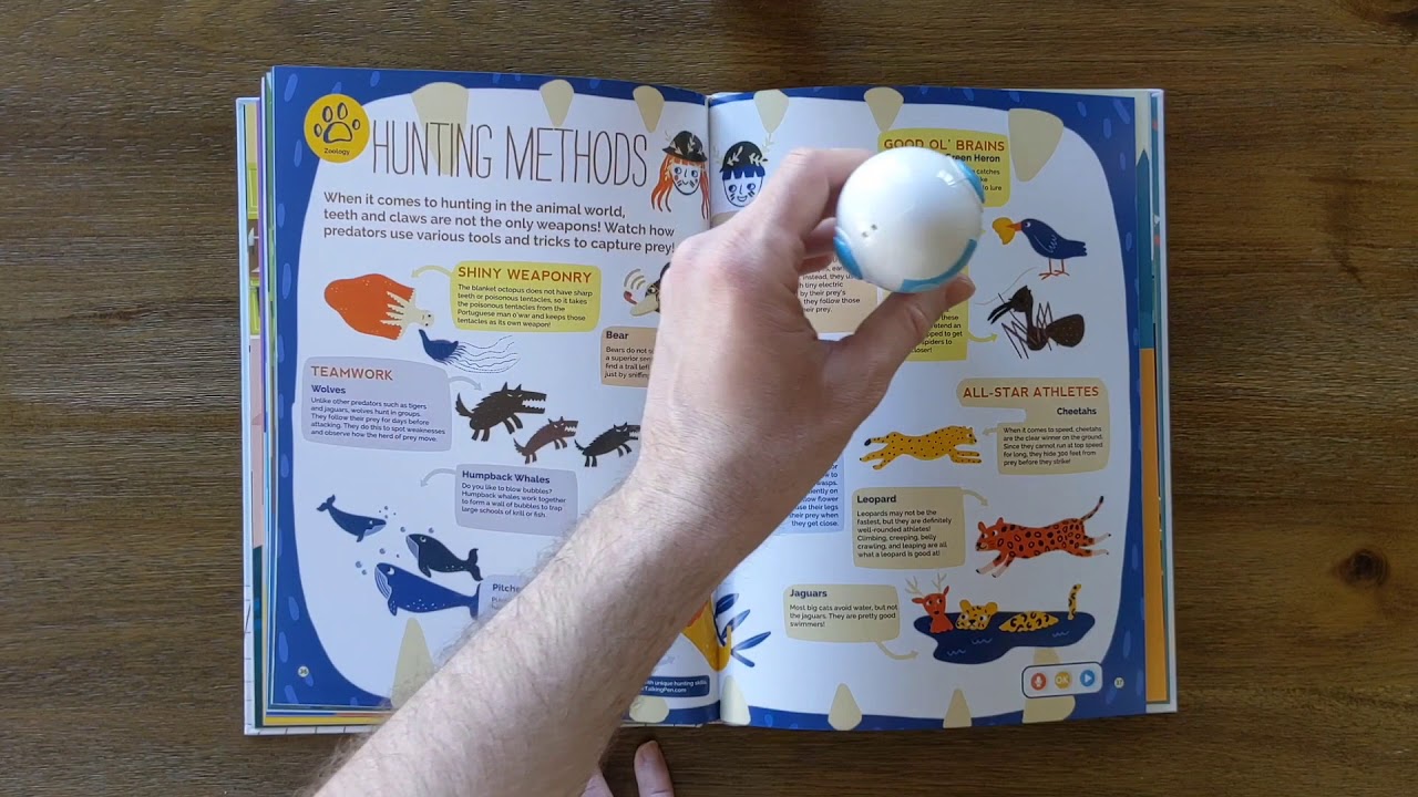 Talking STEM Books: Toothbrushes - Animals Teeth and Hunting - YouTube