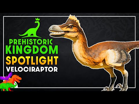 NEW DINOSAUR VELOCIRAPTOR REVEALED! | Prehistoric Kingdom News! - YouTube
