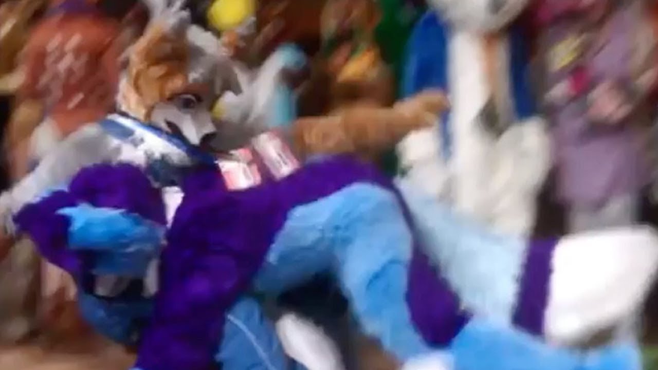 FURRY FIGHT?! - YouTube