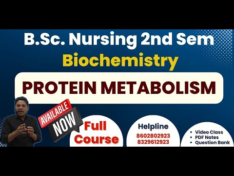 Protein Metabolism | B.Sc. Nursing 2nd Semester | Biochemistry - YouTube