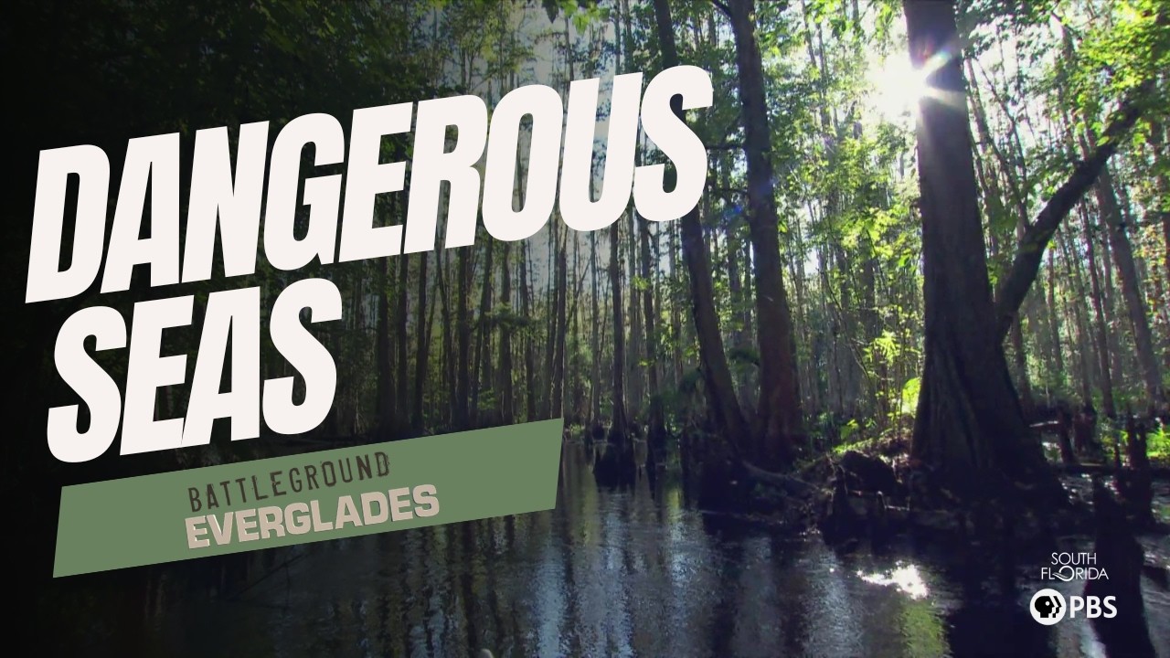 Protecting Florida's Ecosystems from Rising Seas | Battleground ...