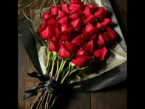 HALİL  HARBAVİ