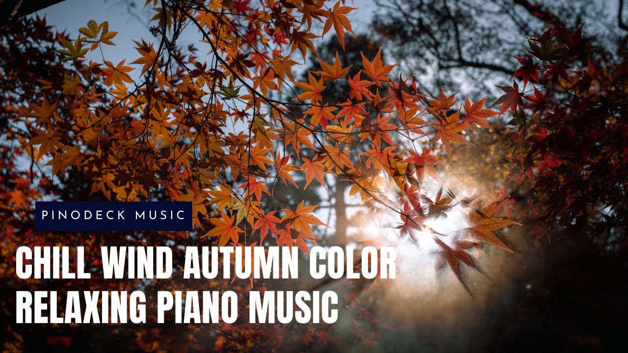 Chill wind,autumn color-relaxing piano music - YouTube