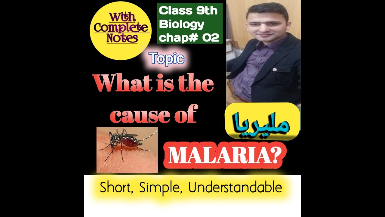 An example of biological method.. What is Malaria. 2nd part - YouTube