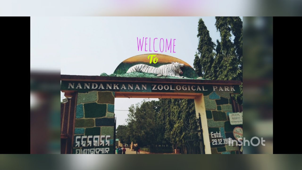 Nandan kanan,odisha, 2021 / Part - 2 , (fish and many more )😀😀😀😀🐵🐒🦍🐺🦊🐈🦁 ...