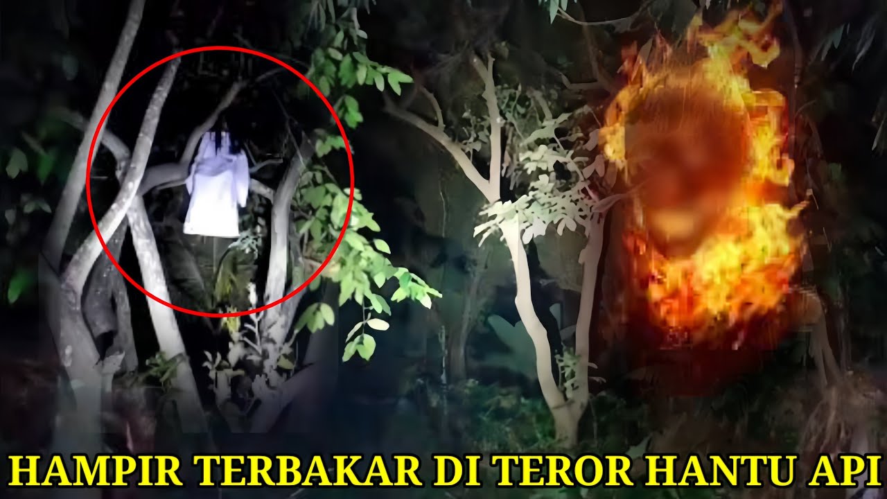 Hutan Paling Mengerikan Di teror Hantu Api Dari atas Pohon Sampai aku ...