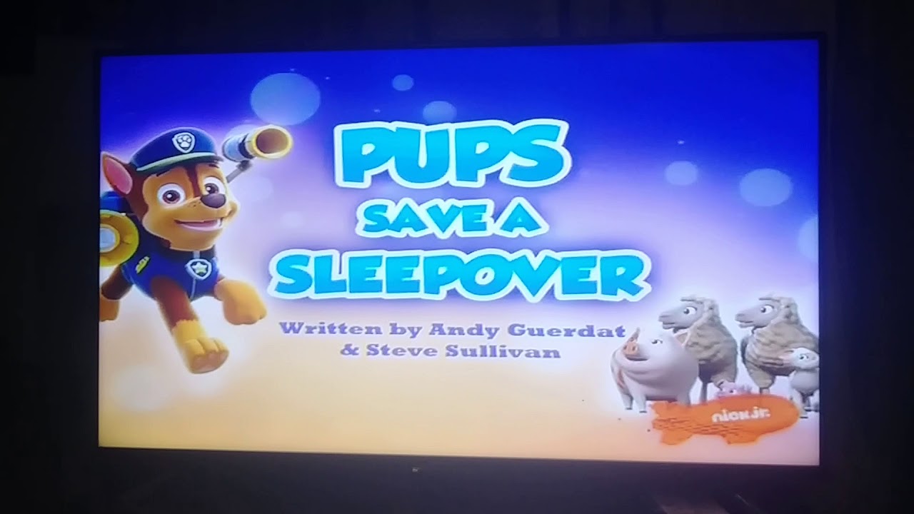 Pups Save a Sleepover Title Card - YouTube