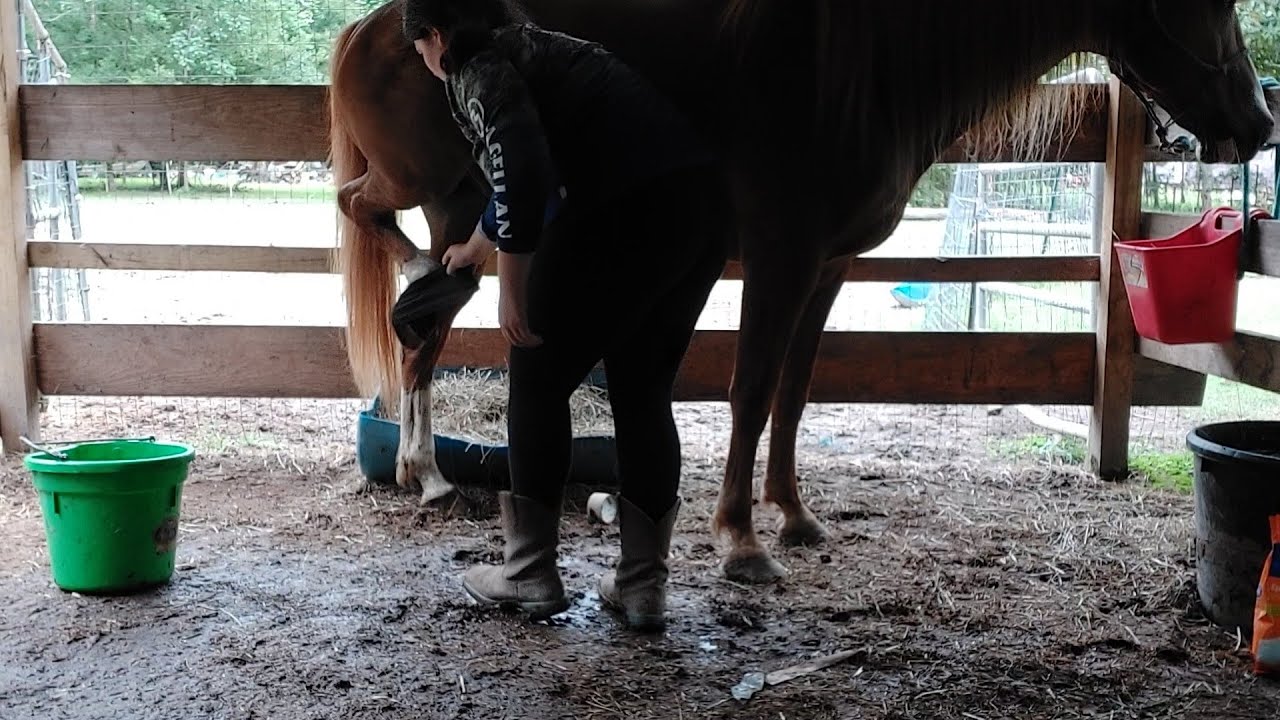 Treating Bubba Dukes Abscess - YouTube