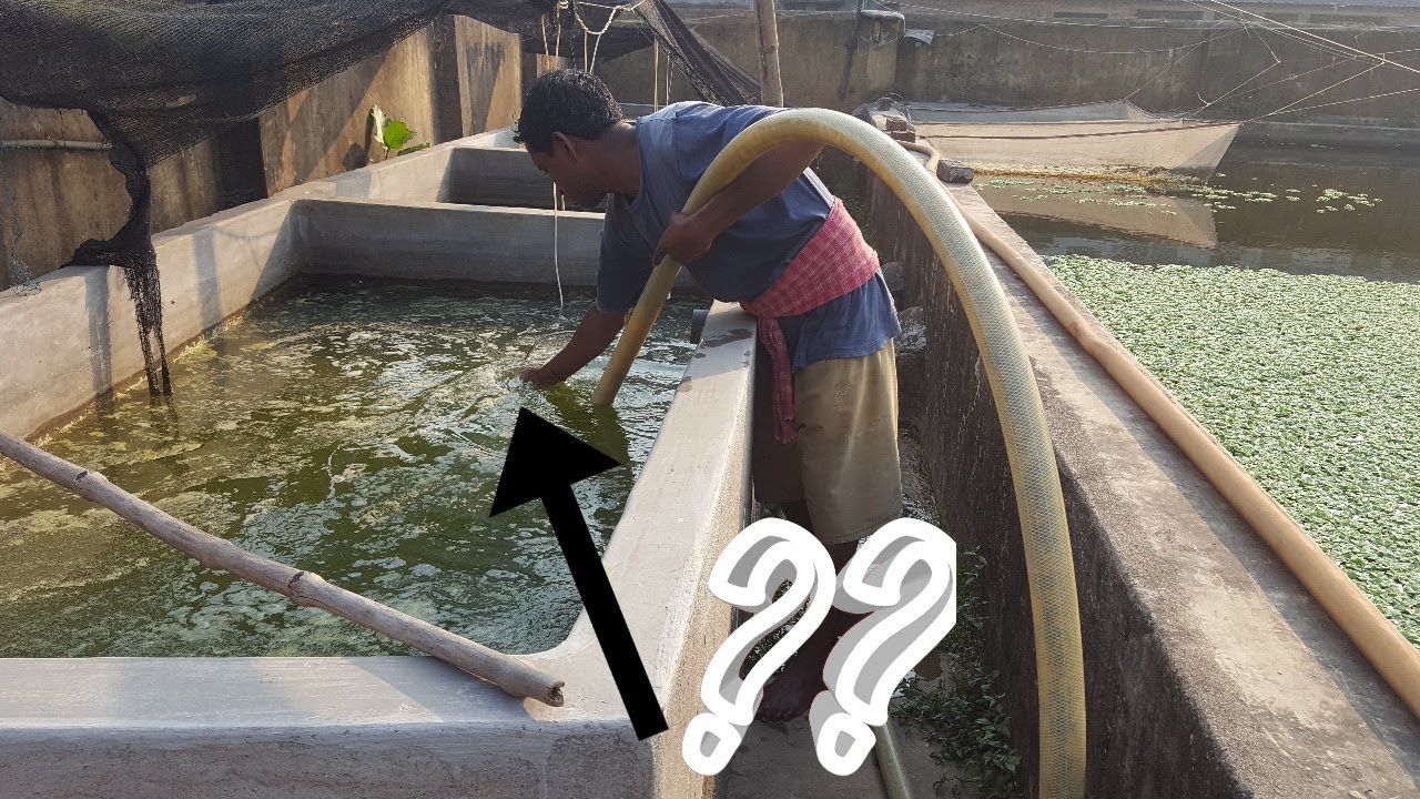 My Aquarium Syphoning System - YouTube