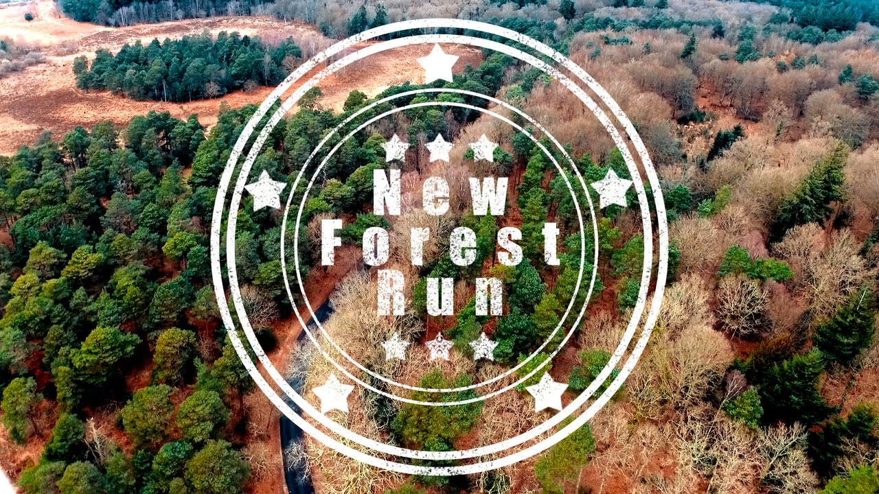 New Forest Run: Triumph GT6 Short Film - YouTube