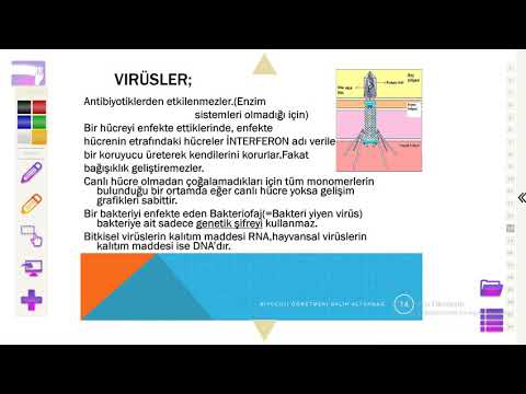 Canlıların Sınıflandırılması Biyoloji Öğretmeni - Salih ALTUNDAĞ