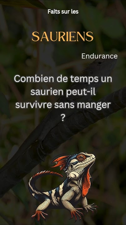 Fait sur le Lézard 16 - Combien de temps un saurien peut-il survivre sans manger? - YouTube