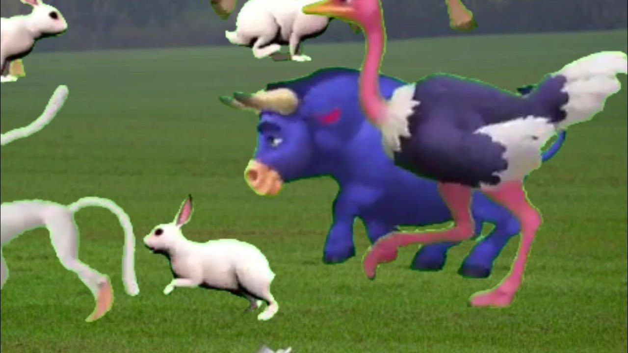 Animals running around in a green meadow - YouTube