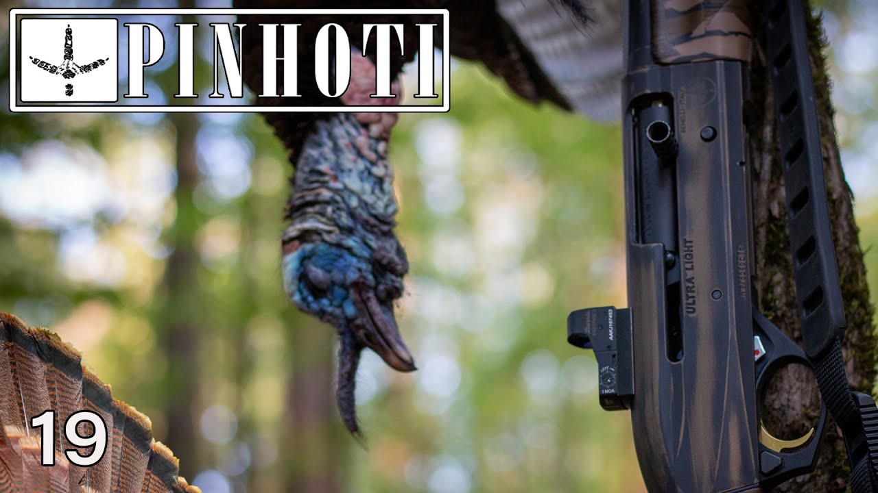 CAJUN GOBBLER with a NEW GUN | TURKEY HUNTING LOUISIANA - Pinhoti 2021 ...