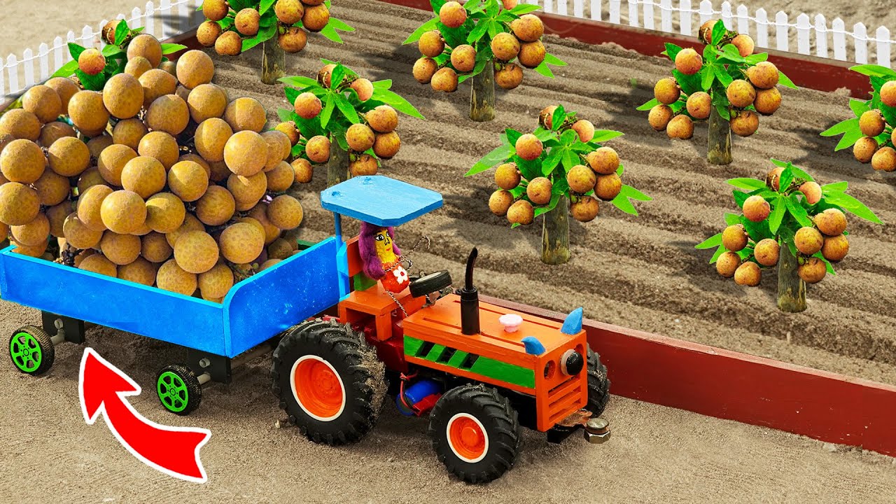 Top diy tractor making mini Longan Farming | How to Plant & Harvest ...