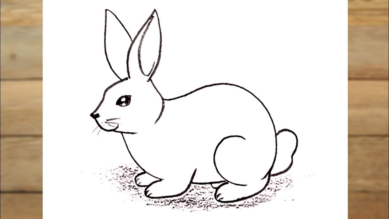 How to Draw a Rabbit 🐇 | Easy Rabbit Drawing for beginners - YouTube