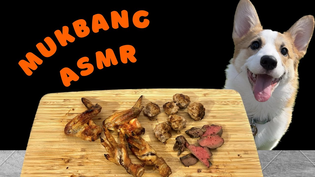 MUKBANG ASMR | DOG CORGI MUKBANG EATING ROASTED CHICKEN WINGS, LIVER ...