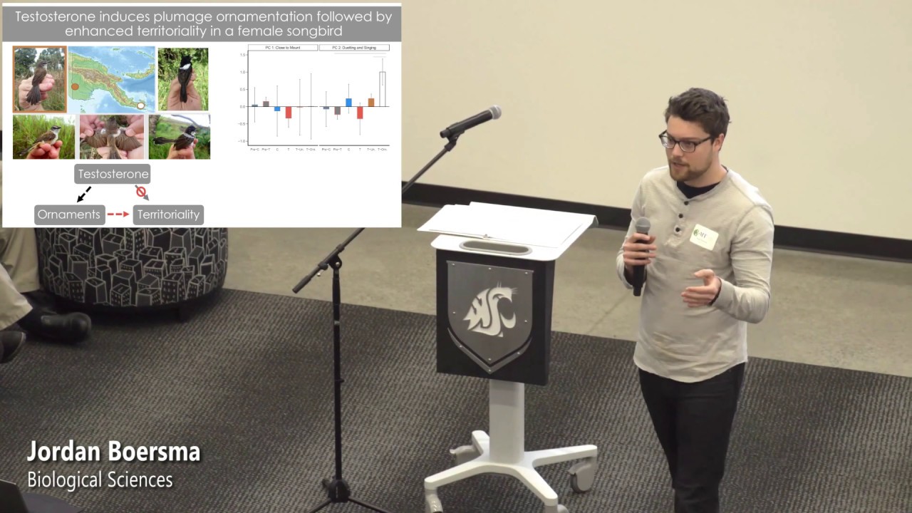 3MT 2020 - Jordan Boersma - YouTube