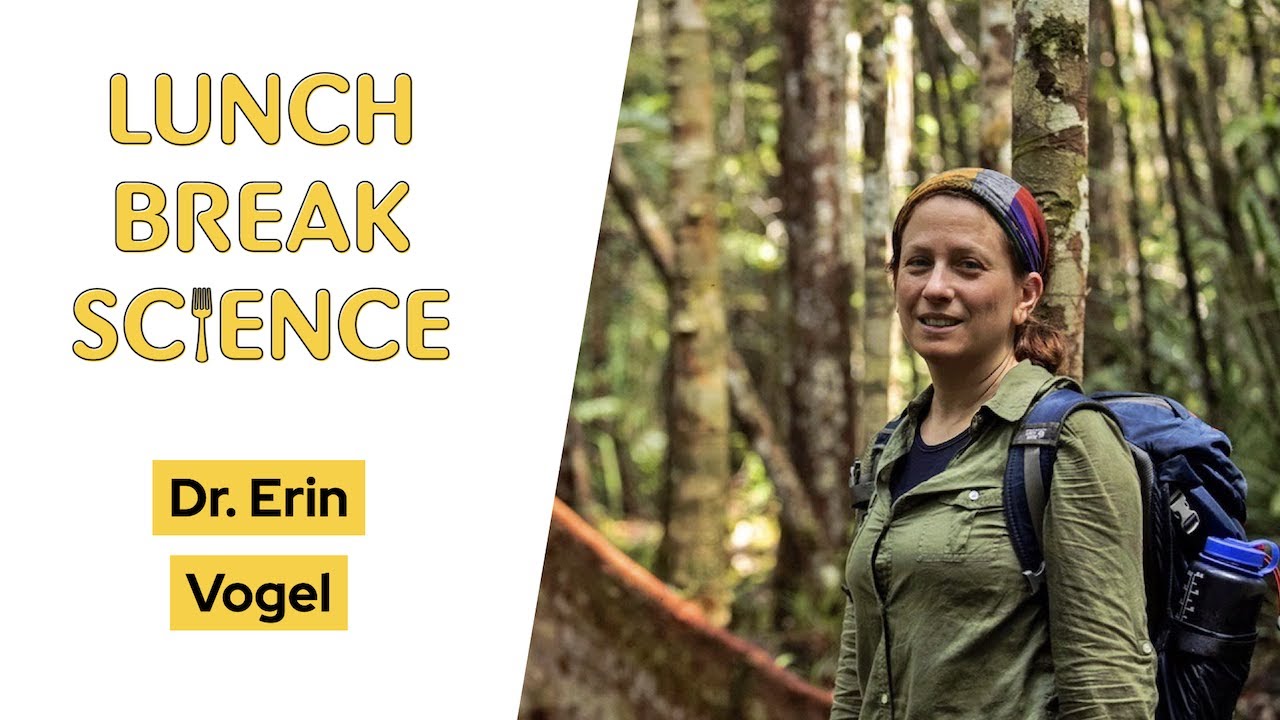 Lunch Break Science #44 | Dr. Erin Vogel - YouTube