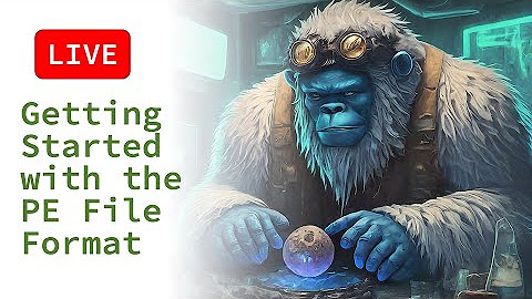 Exploring the Portable Executable (PE) File Format - YouTube