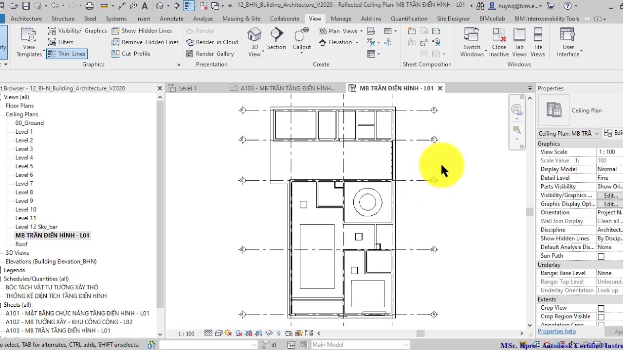 12 RVB 11 Preparing Ceiling Plan View - YouTube