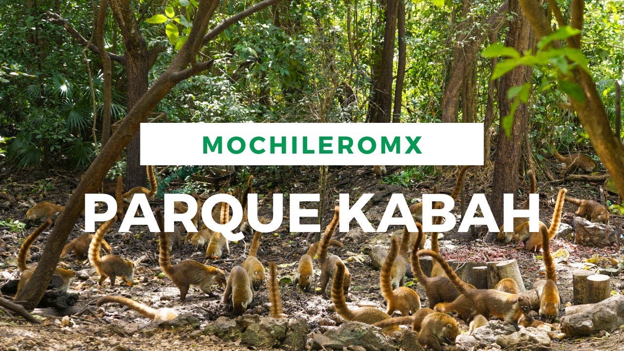 Parque ecológico Kabah | Cancún, Quintana Roo | MochileroMX - YouTube
