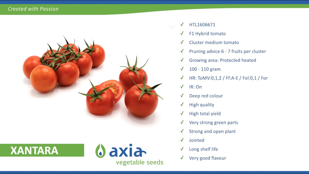 XANTARA WEEK 48 - YouTube