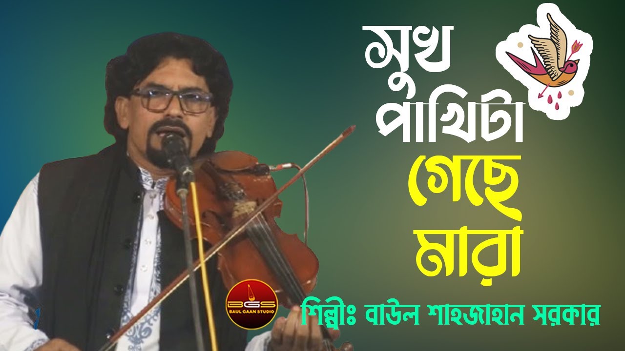 আমার সুখ পাখিটা গেছে মারা একটা তীরের আঘাত পাইয়া গো | বাউল শাহজাহান ...