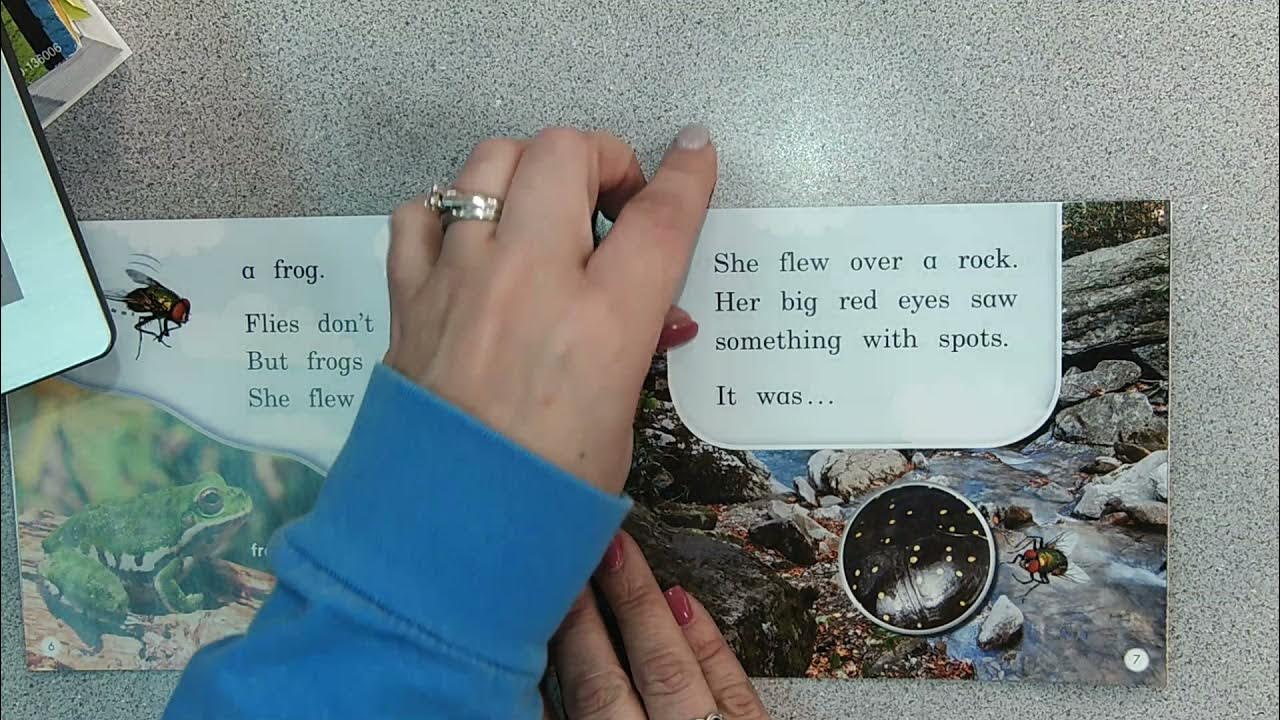 The Hungry Fly shared reading - YouTube