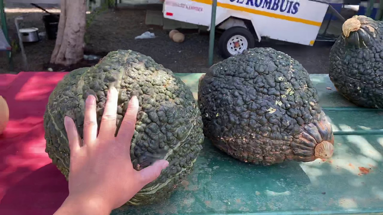 Boere Mark (Farmers Market) Bloemfontein - YouTube