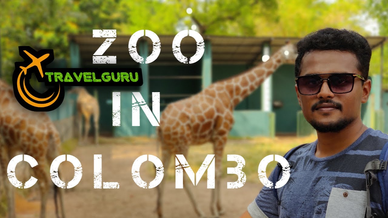 Zoo in Colombo | Dehiwala Zoo | Oldest Zoo in Srilanka |Best Place to ...