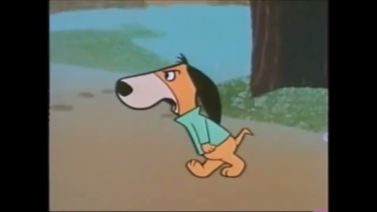 Bibo Pai & Bob Filho 🐶 Ep 01 2ª parte - YouTube