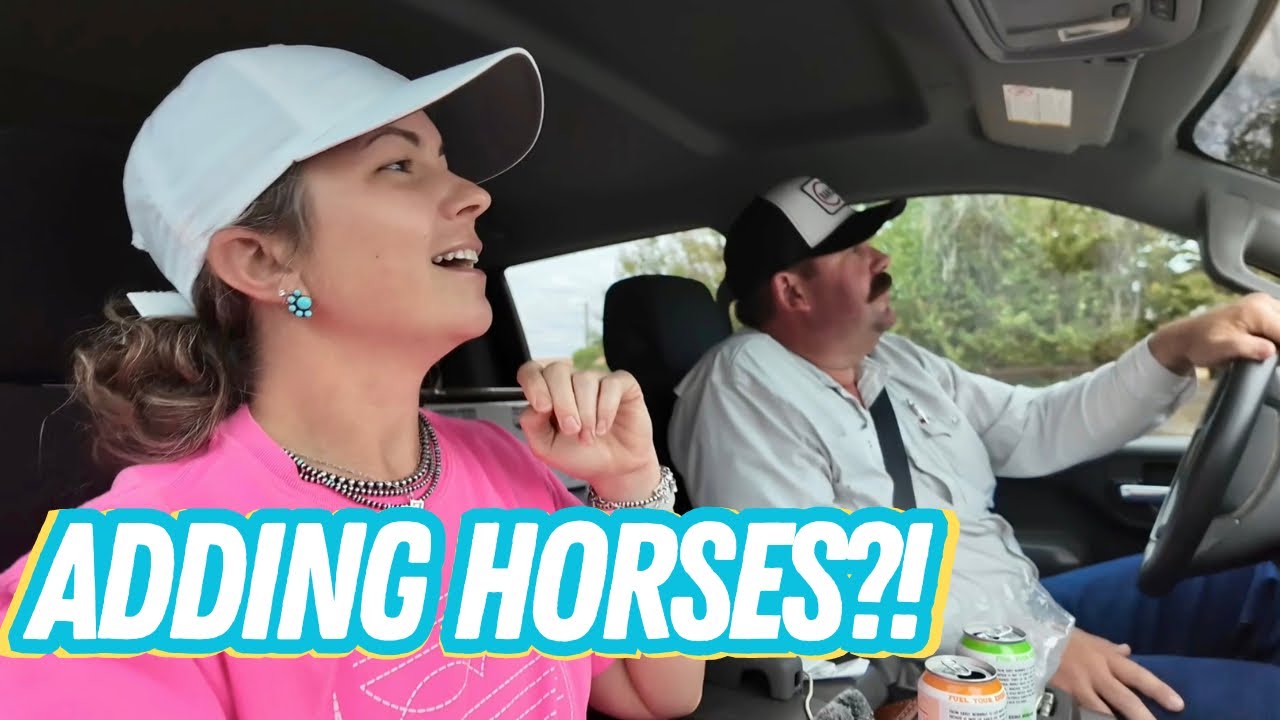 WE’RE FINALLY ADDING HORSES TO THE RANCH! | Bar 7 Ranch - YouTube