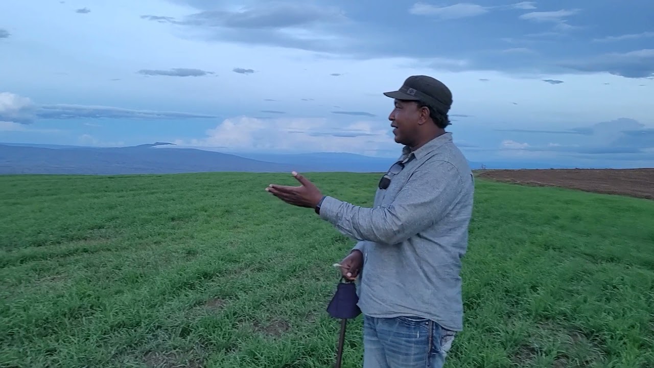 Farming In Narok County - YouTube