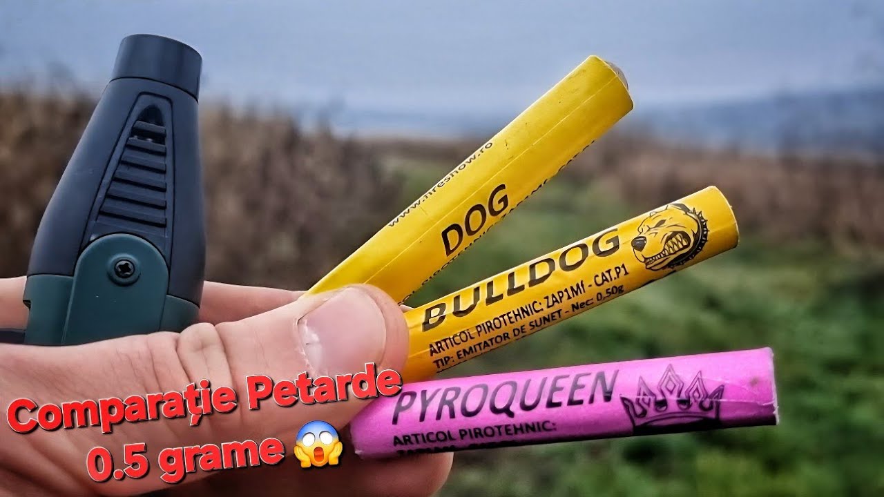 DOG vs BULLDOG vs PYRO QUEEN !! Comparație Petarde 2025-2026! - YouTube