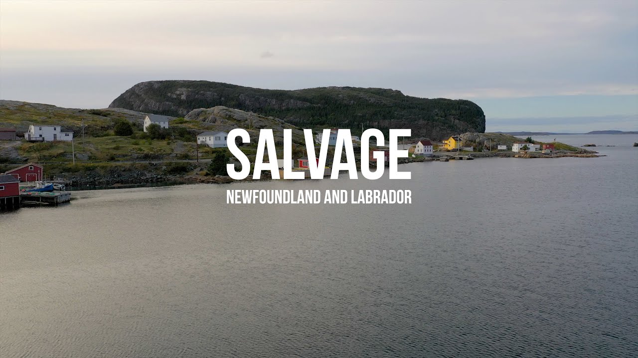 Salvage, Newfoundland and Labrador, Canada - Relaxing 4K Drone Footage ...