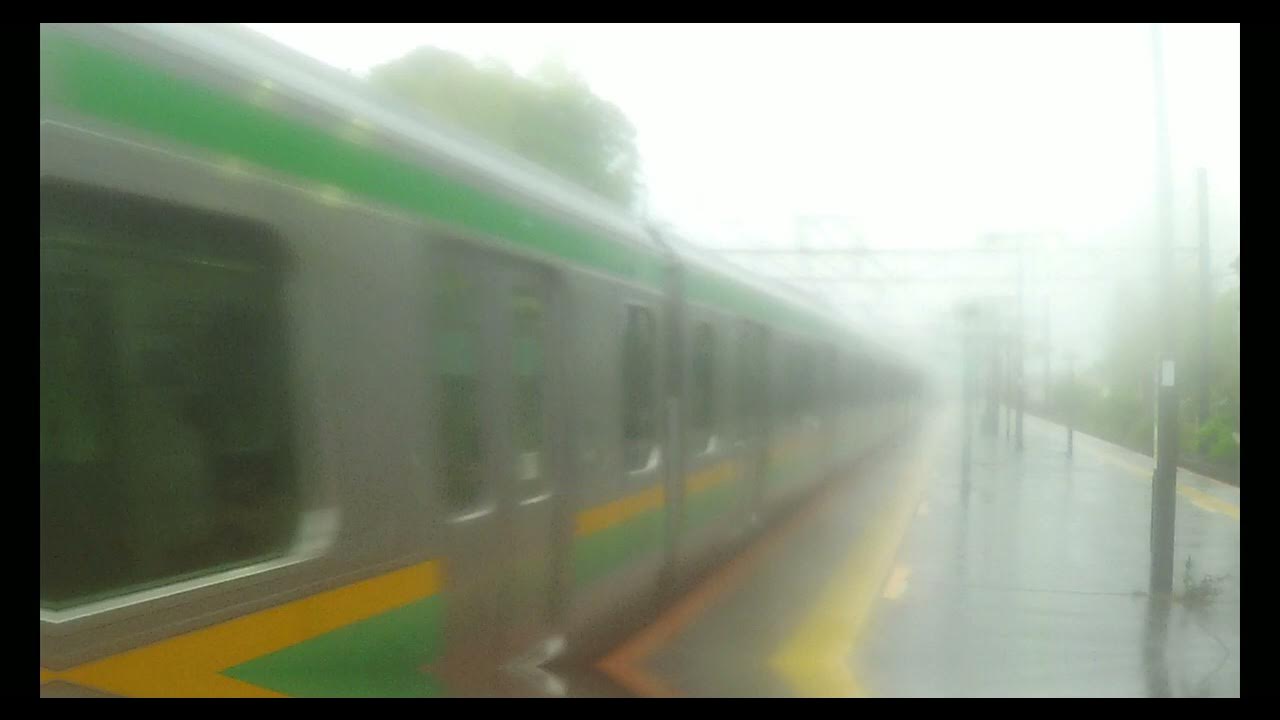 【JR東海道線】 E231系近郊型S-19編成+U501編成 特別快速 高崎行き(湘南新宿ライン経由) 大磯通過 - YouTube